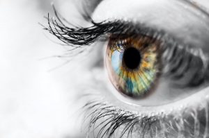 What is an Iris Analysis? | An Optimal You